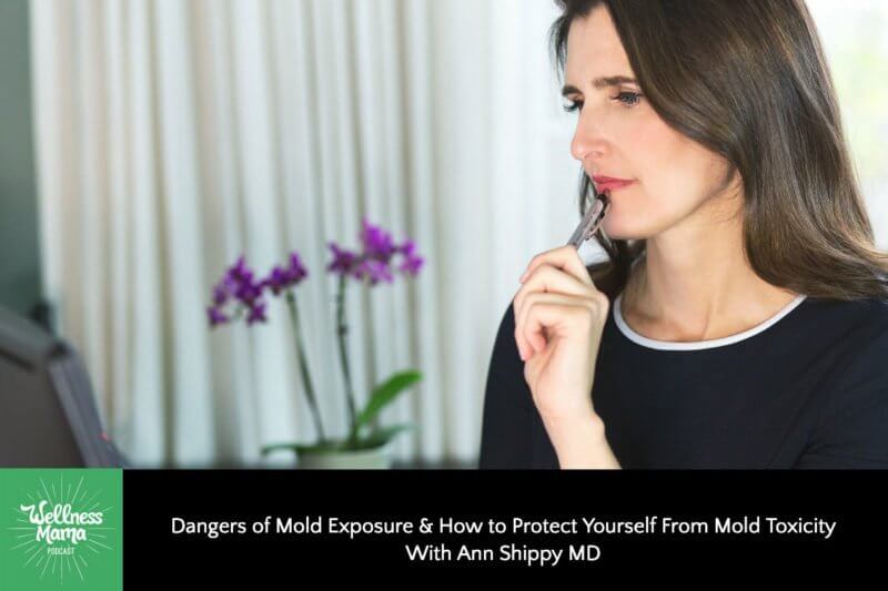Ann Shippy on the Dangers of Mold Exposure | Wellness Mama Podcast