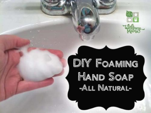 How to Make Organic DIY Foaming Hand Soap | Wellness Mama