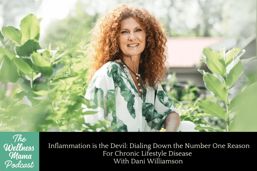 The Wellness Mama Podcast