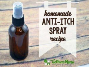 Homemade Anti-Itch Spray with Menthol & Aloe | Wellness Mama