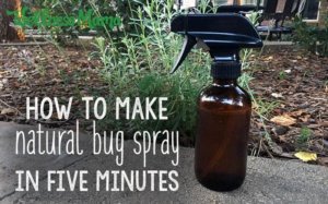 Homemade Bug Spray Recipes That Work | Wellness Mama
