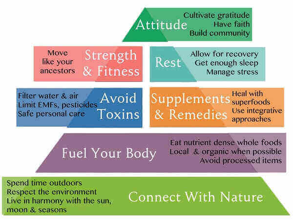 Radiant Life Catalog: Why I Love Them & My Favorites | Wellness Mama