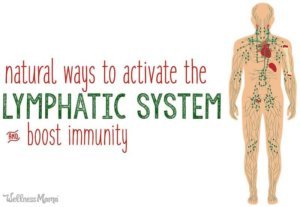Activating the Lymphatic System to Boost Immunity | Wellness Mama