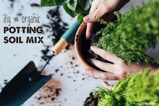 DIY Potting Soil Mix for Indoor and Container Plants | Wellness Mama