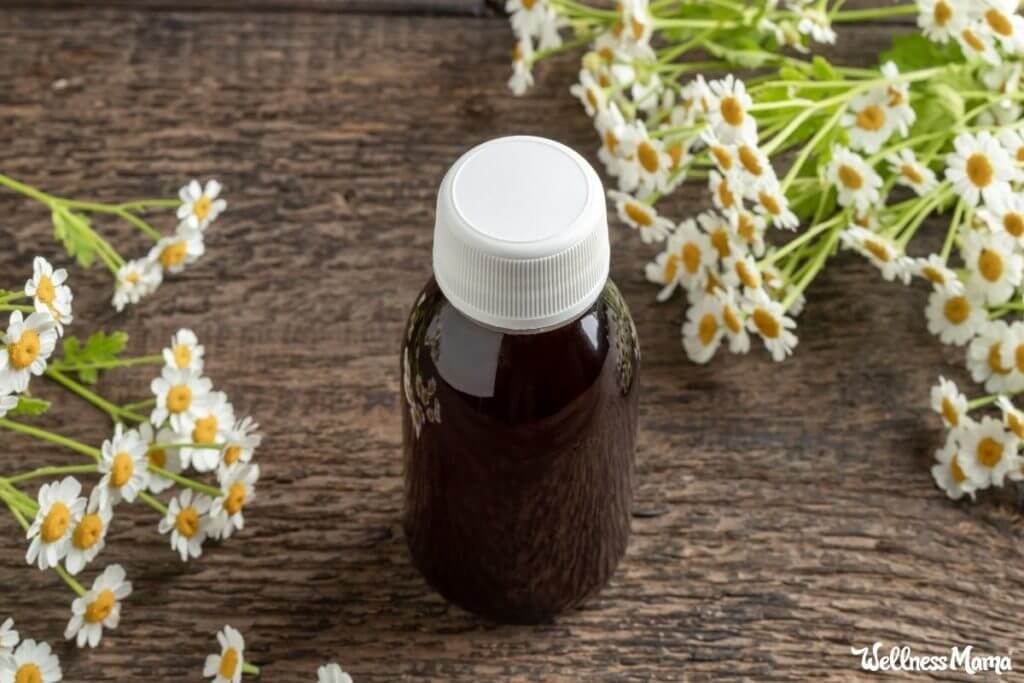 Feverfew Benefits for Fever, Migraines, and More | Wellness Mama