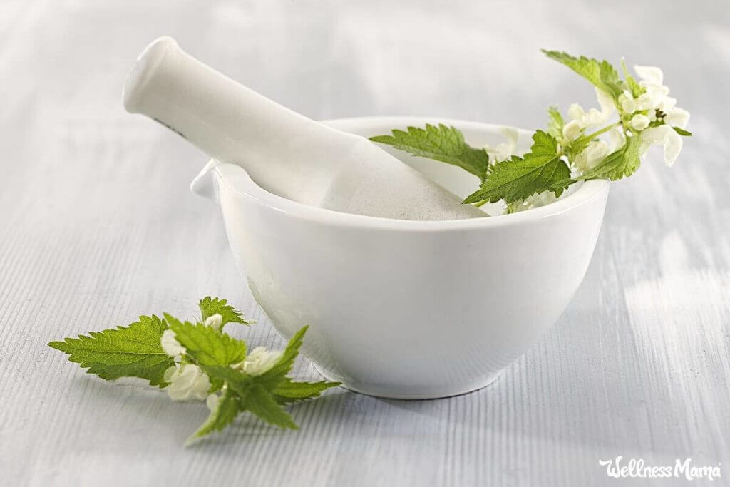 Benefits of Stinging Nettle & How to Use It | Wellness Mama