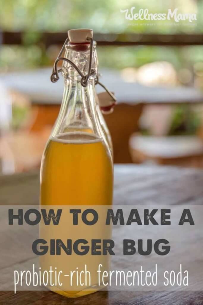 How to Make a Ginger Bug (Fermented Soda) | Wellness Mama
