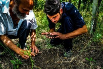 Why Natural Wine Is Better Than Biodynamic or Organic Wine | Wellness Mama