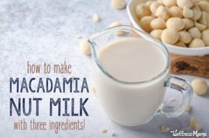 How to Make Macadamia Milk With 3 Ingredients | Wellness Mama