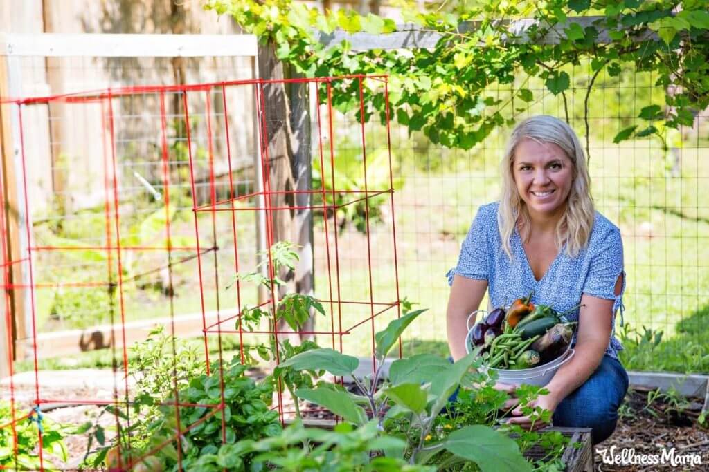 Easy Seasonal Eating Guide for Families | Wellness Mama
