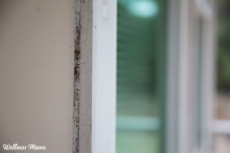 How Toxic Mold Exposure Harms the Body | Wellness Mama