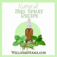 Homemade Bug Spray Recipes That Work | Wellness Mama